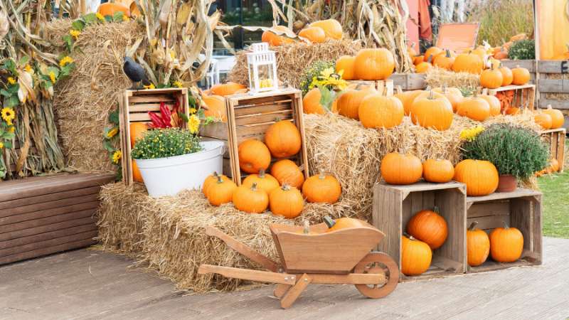 2024 Fall Festivals and Events Around Beavercreek | Wright-Patt Realty